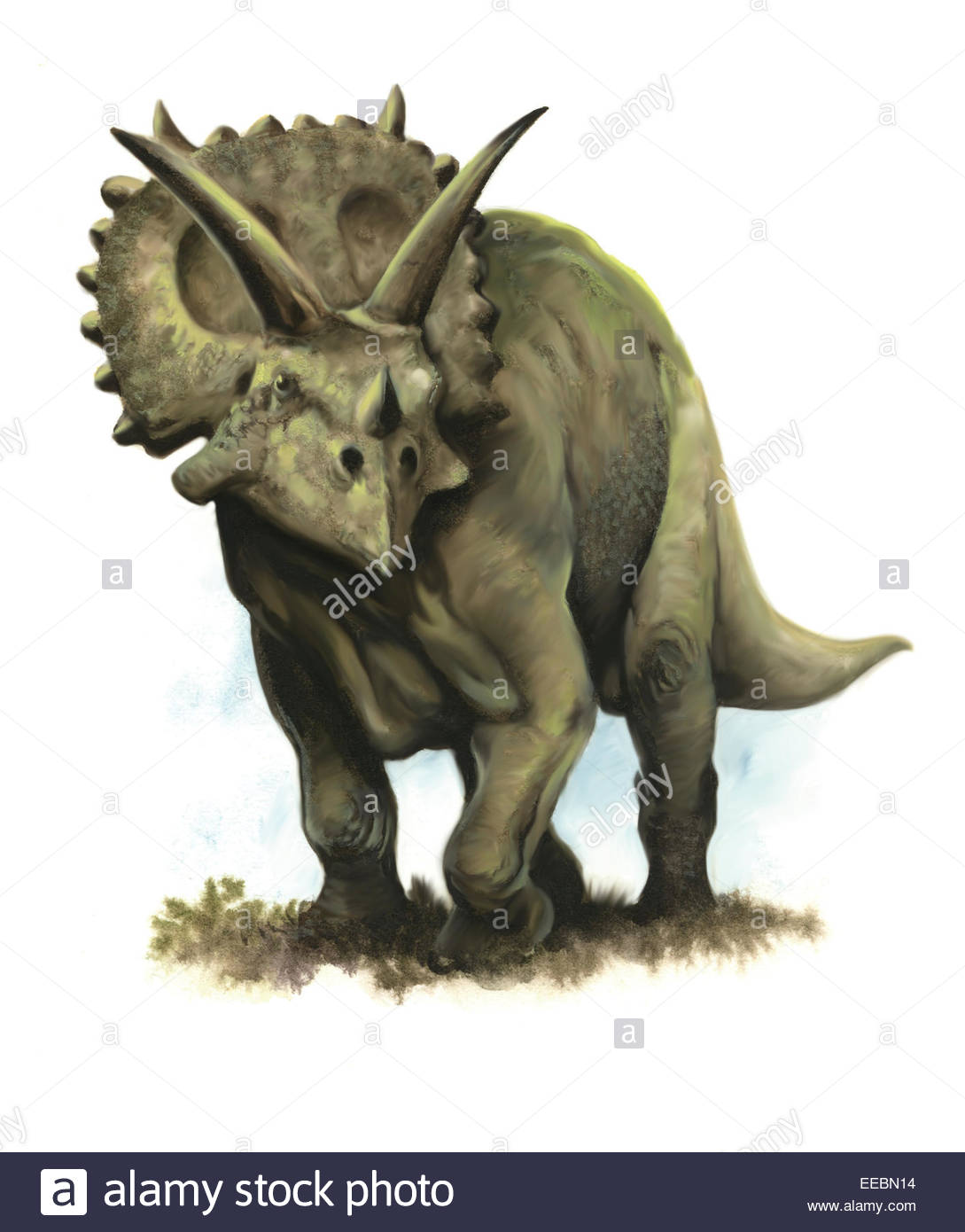 Late Cretaceous Dinosaur Stock Photos & Late Cretaceous Dinosaur Stock ...