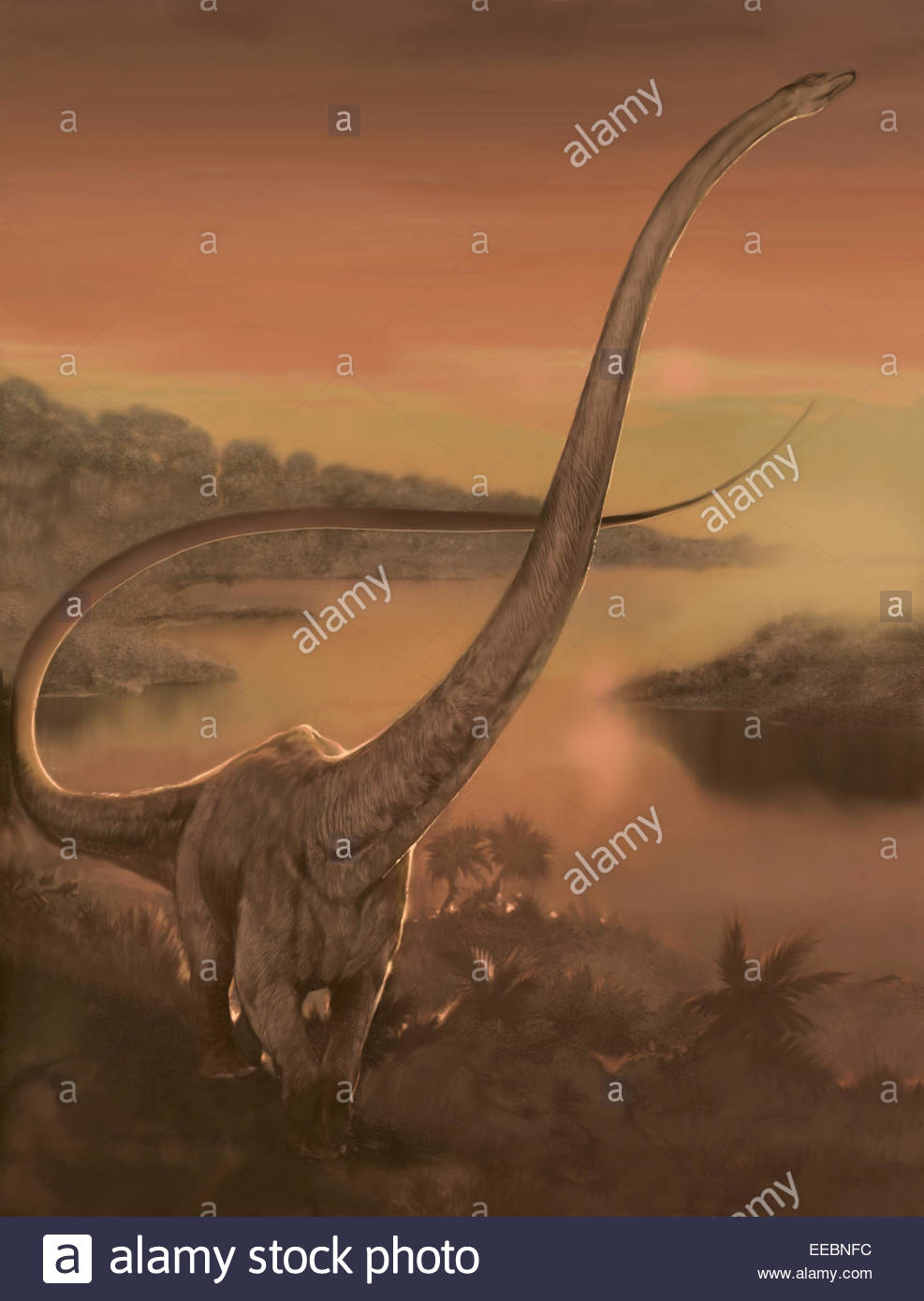 Barosaurus Stock Photos & Barosaurus Stock Images - Alamy