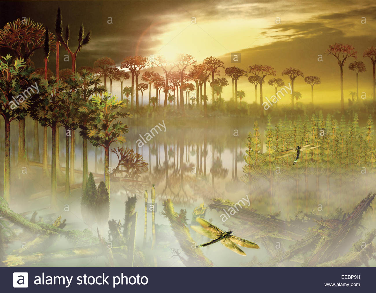 Carboniferous Swamp Stock Photos & Carboniferous Swamp Stock Images - Alamy