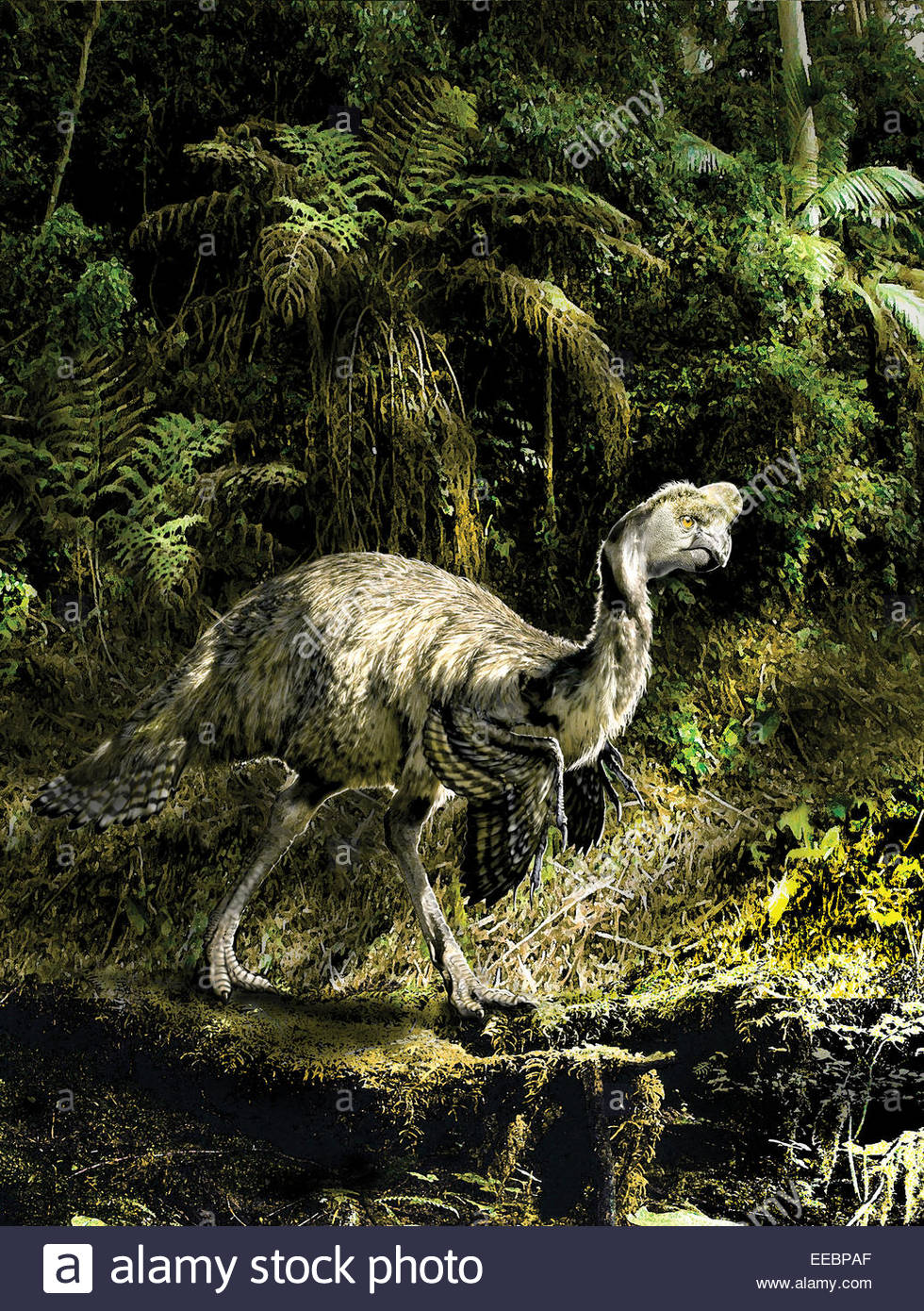 Oviraptorosaur Stock Photos & Oviraptorosaur Stock Images - Alamy