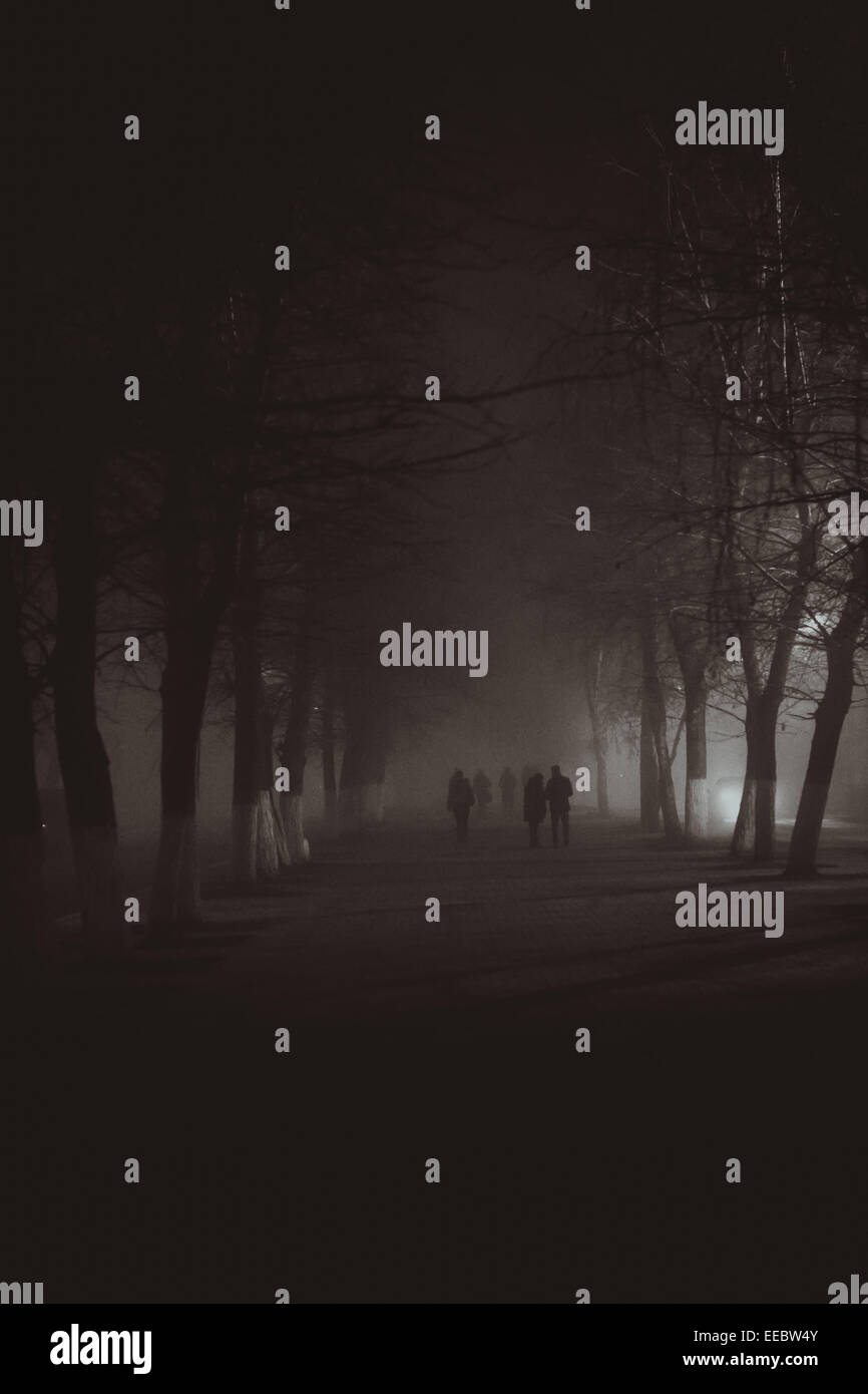 Horror scene of a autumn fog. LIGHTING FILM NOIR STYLE Stock Photo - Alamy