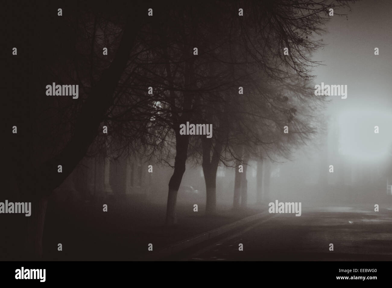 Horror scene of a autumn fog. LIGHTING FILM NOIR STYLE Stock Photo - Alamy
