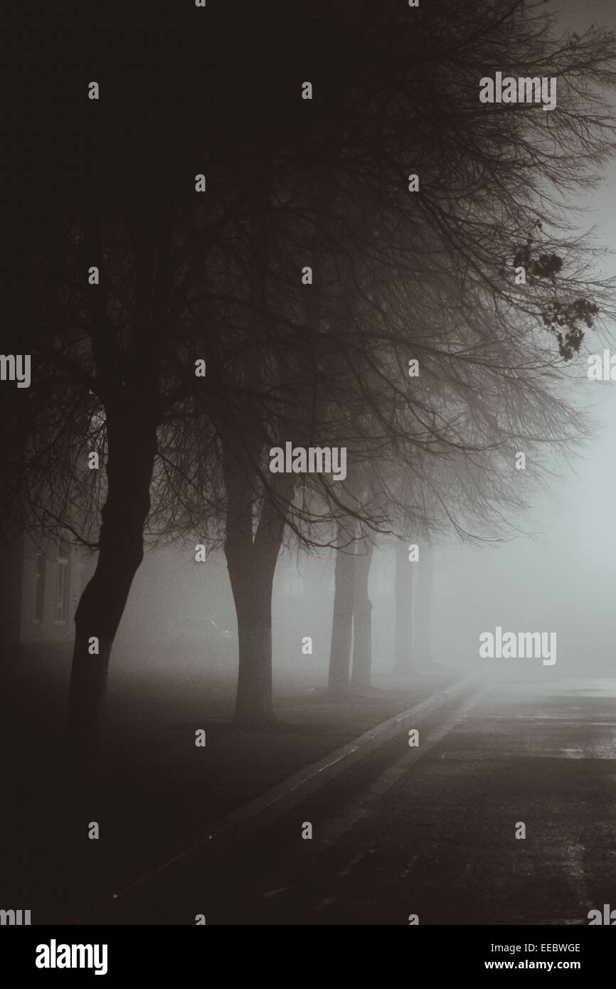 Horror scene of a autumn fog. LIGHTING FILM NOIR STYLE Stock Photo - Alamy