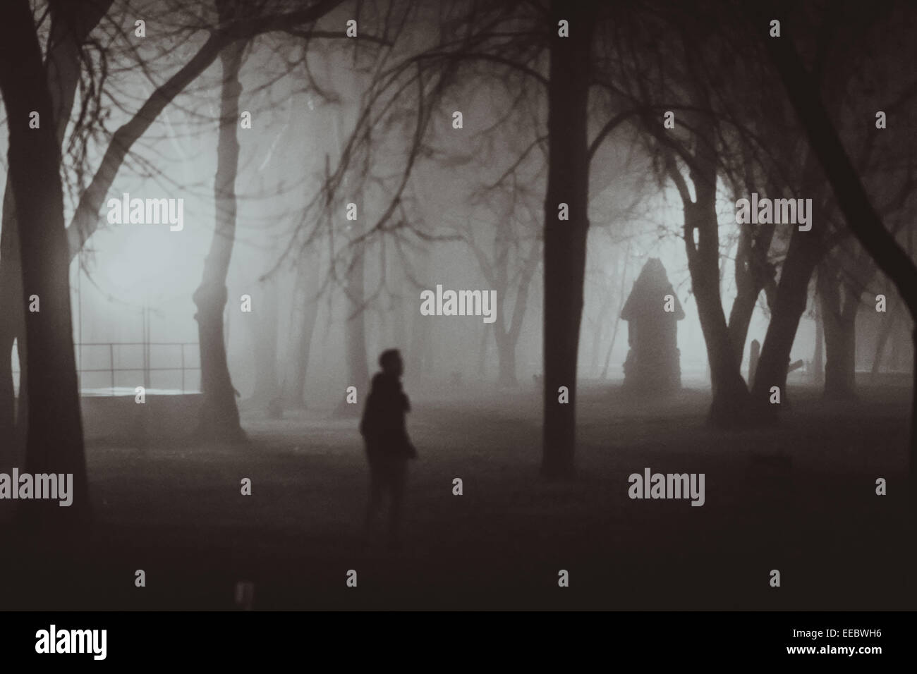 Horror scene of a autumn fog. LIGHTING FILM NOIR STYLE Stock Photo - Alamy