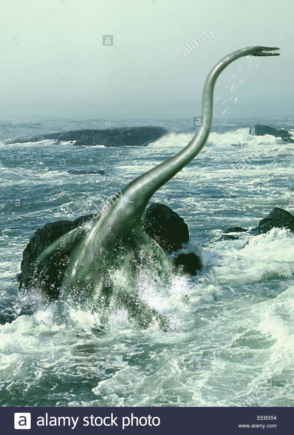 Plesiosaur Stock Photos & Plesiosaur Stock Images - Alamy