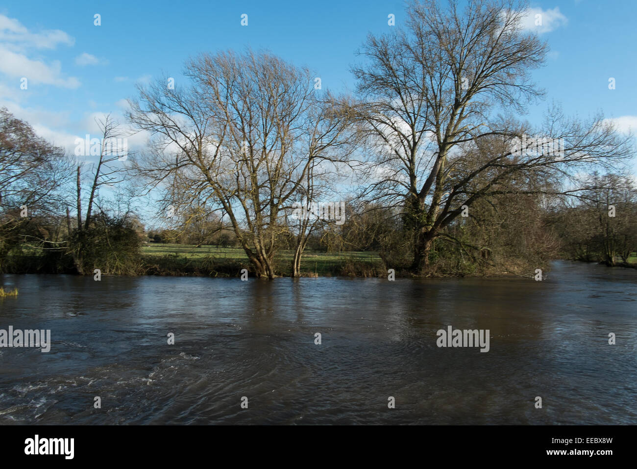 River Avon viewed from town path Salisbury Wiltshire Stock Photo - Alamy
