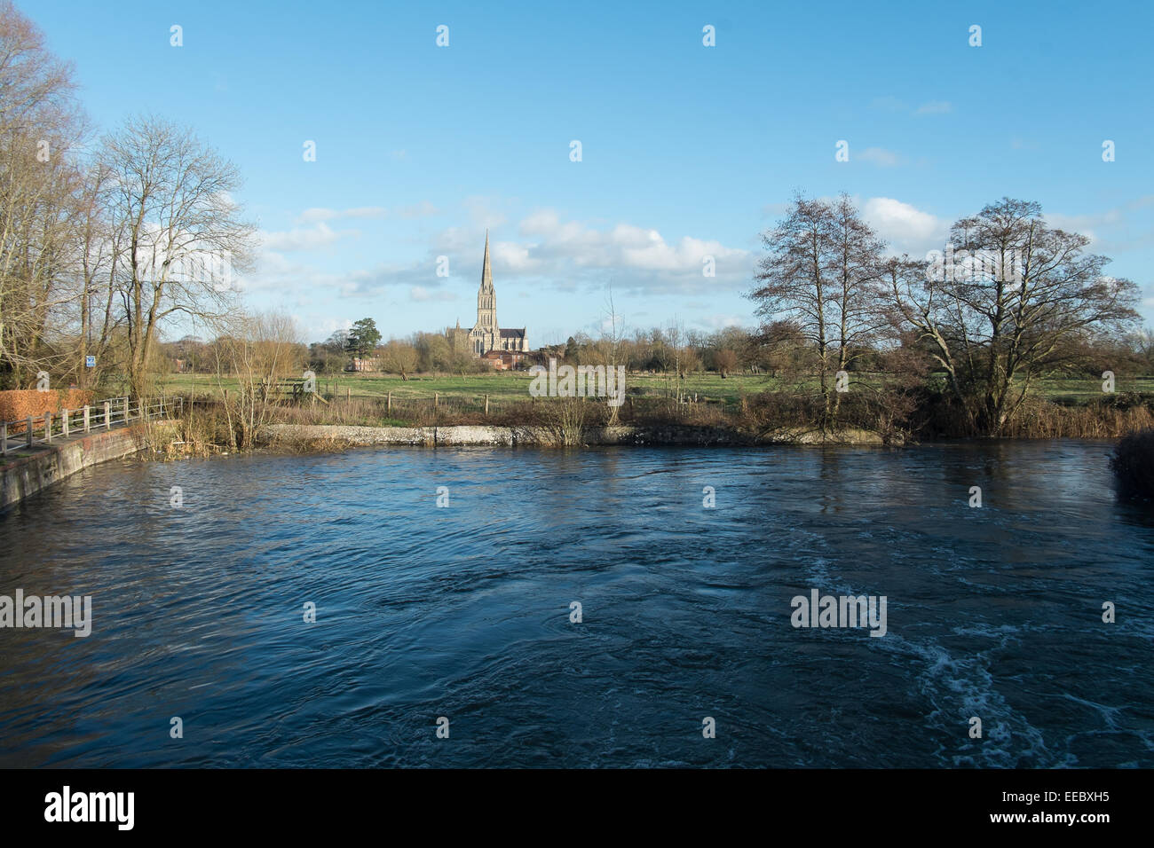 Salisbury Cathedral view from town path Salisbury Stock Photo - Alamy