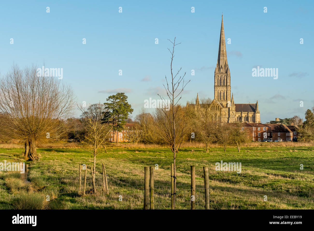 Salisbury Cathedral view from town path Salisbury Stock Photo - Alamy