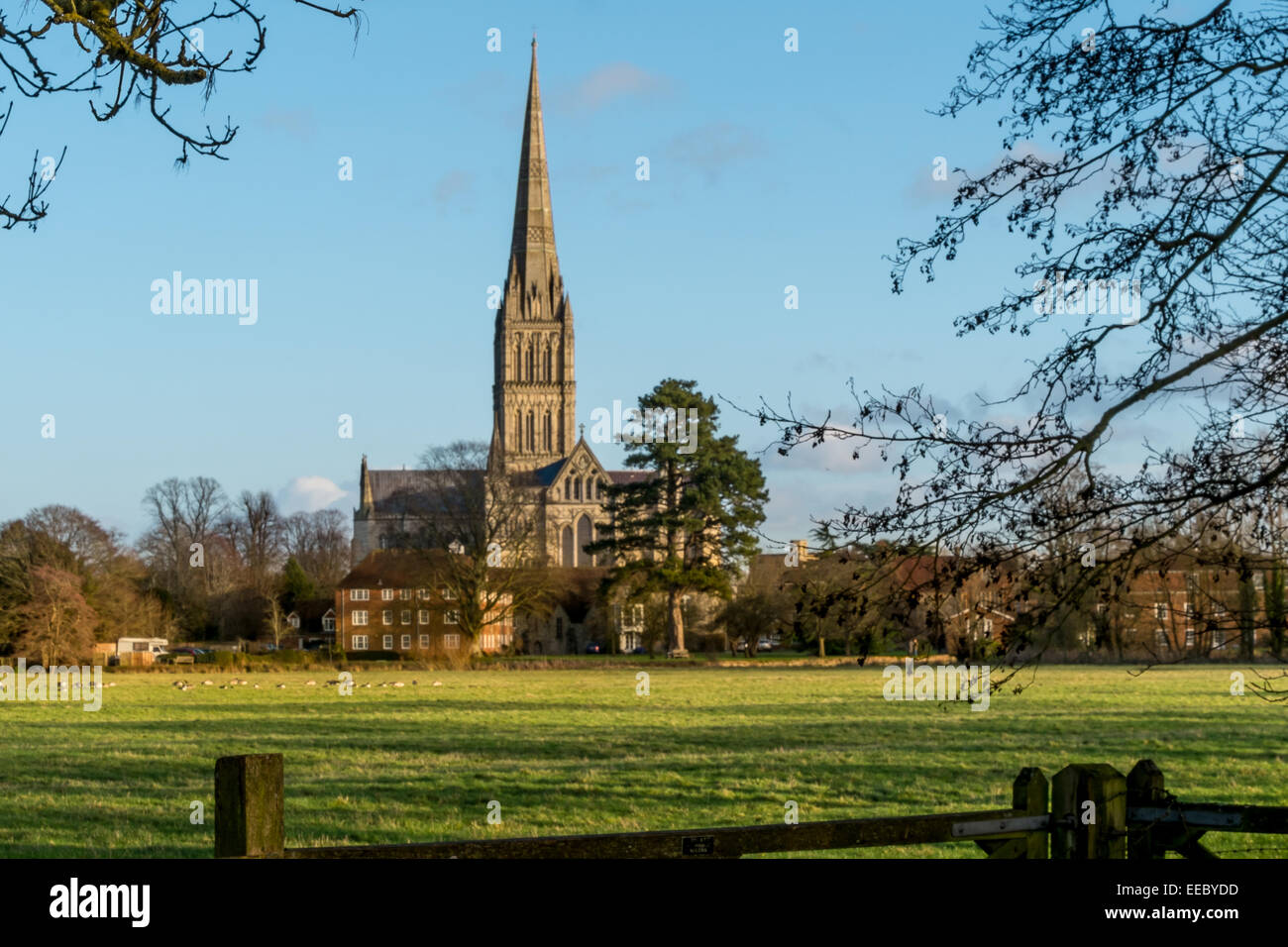 Salisbury town path hi-res stock photography and images - Alamy