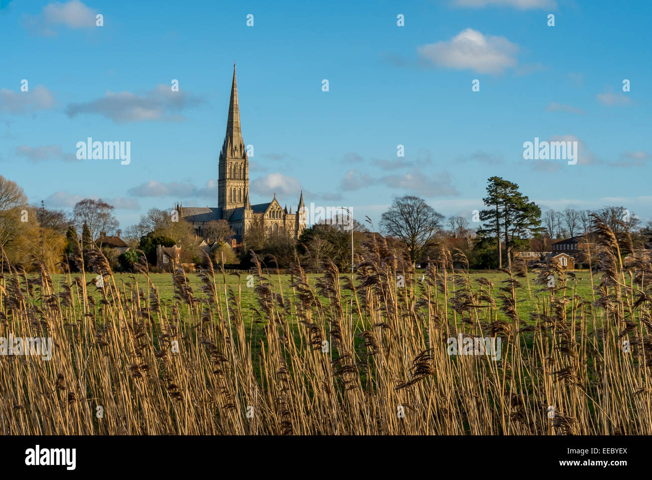 Salisbury Cathedral view from town path Salisbury Stock Photo - Alamy