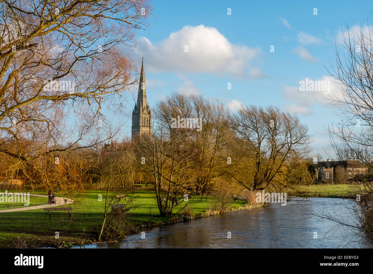 Salisbury Cathedral view from town path Salisbury Stock Photo - Alamy
