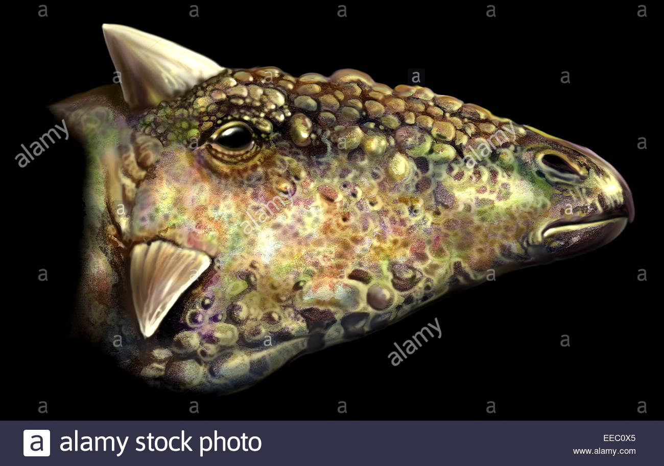 Gargoyleosaurus Stock Photos & Gargoyleosaurus Stock Images - Alamy
