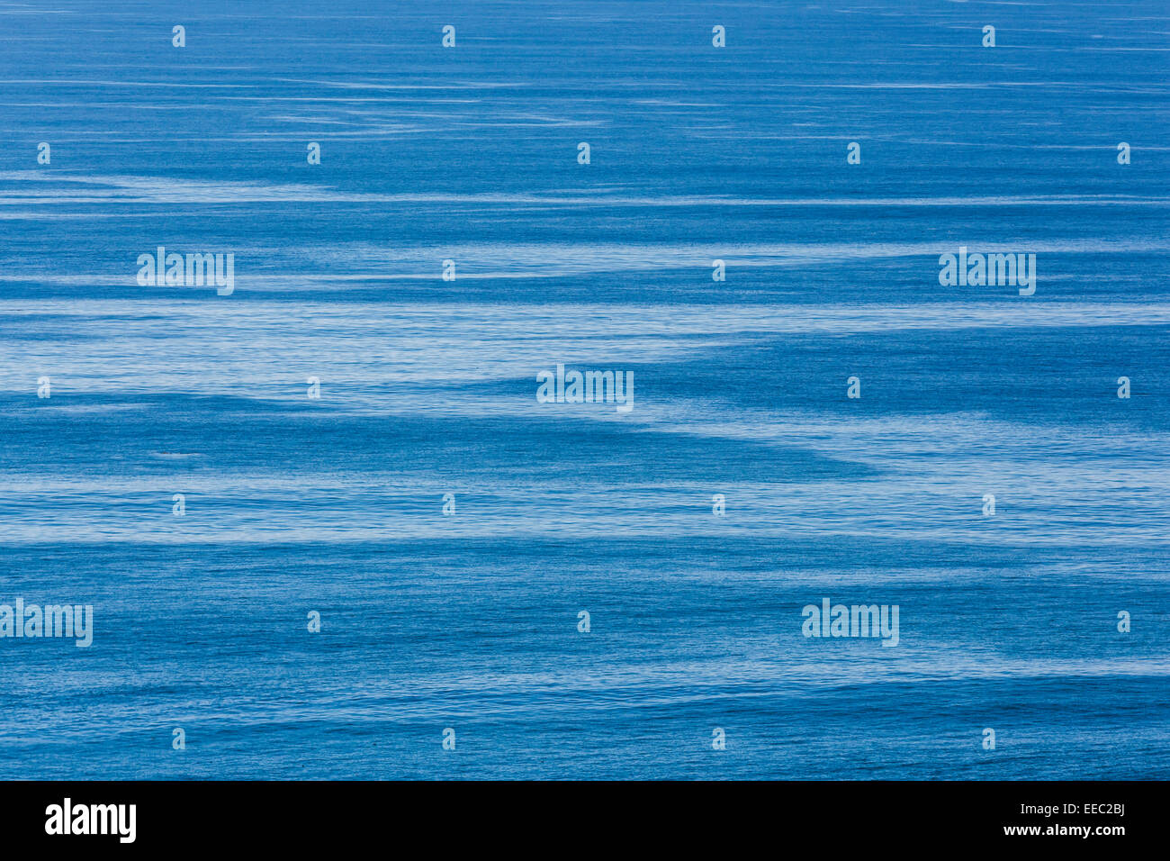 Wind and wave patterns on the Pacific Ocean along the northern ...