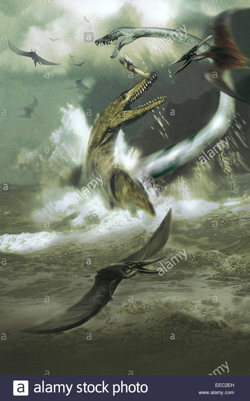 Pteranodon Pterosaur Pterodactyl Artwork Pteranodon Stock Photos ...