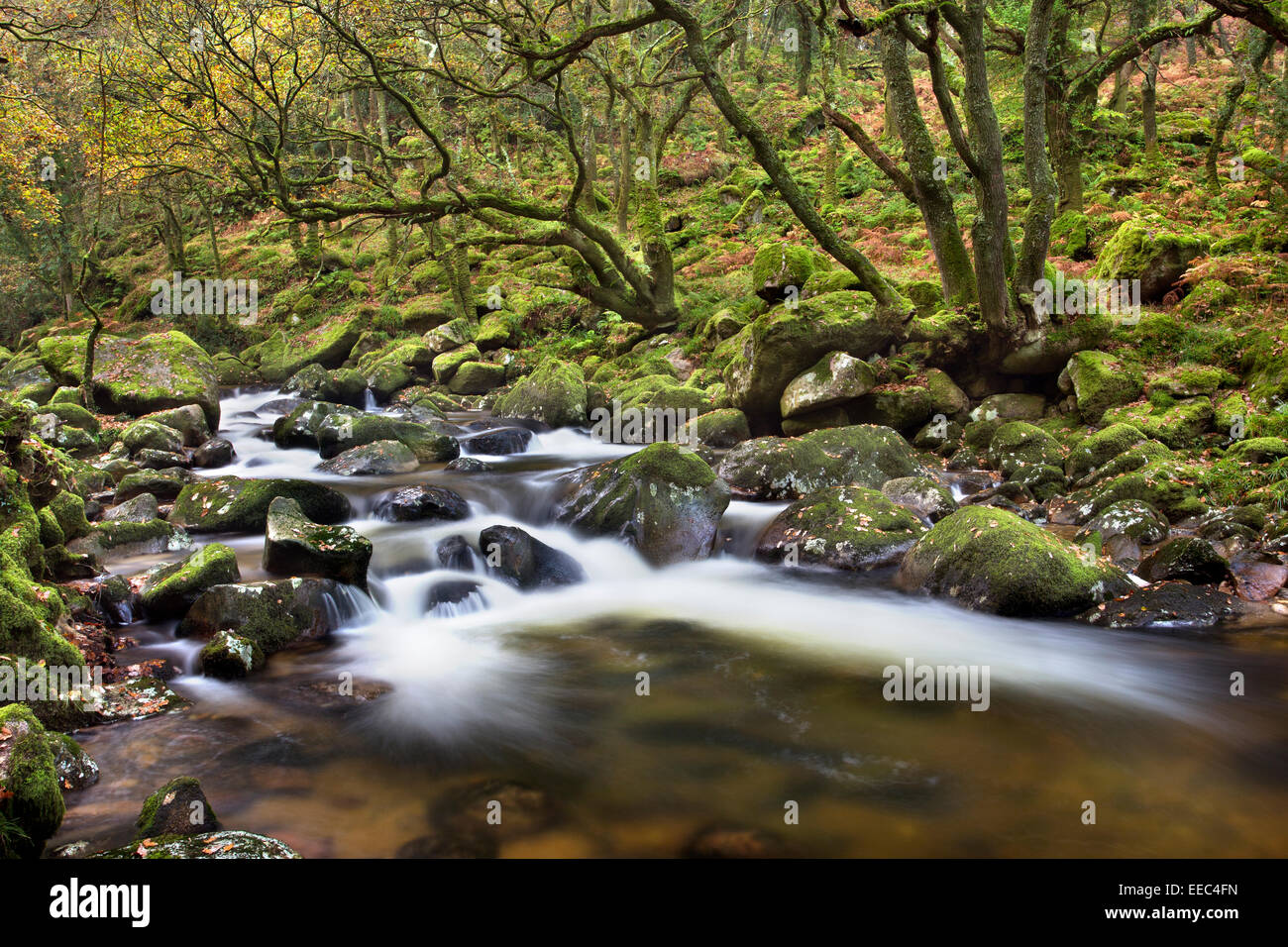 Devon tourism hi-res stock photography and images - Alamy