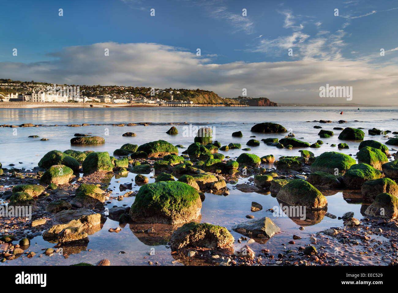 Shaldon devon hi-res stock photography and images - Alamy