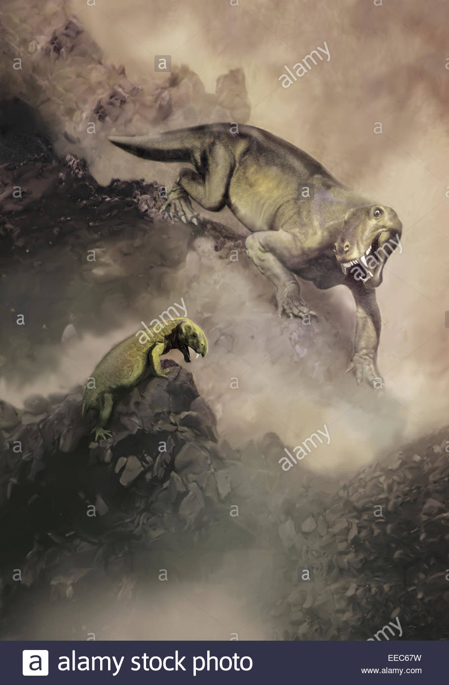 Lycaenops Stock Photos & Lycaenops Stock Images - Alamy