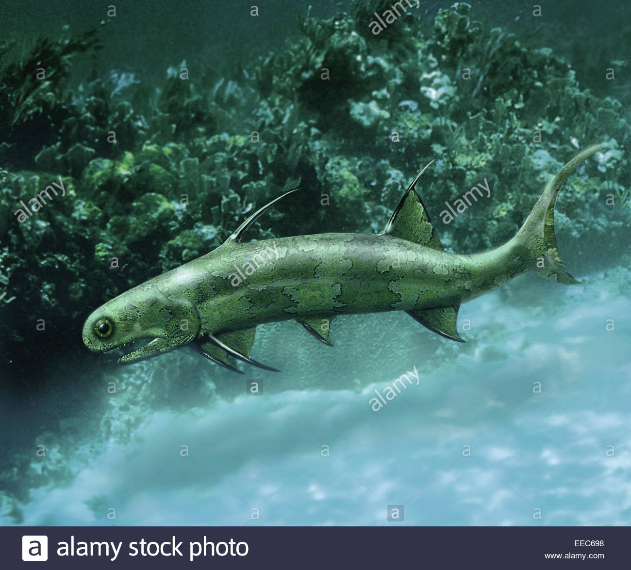 Devonian Fish Stock Photos & Devonian Fish Stock Images - Alamy