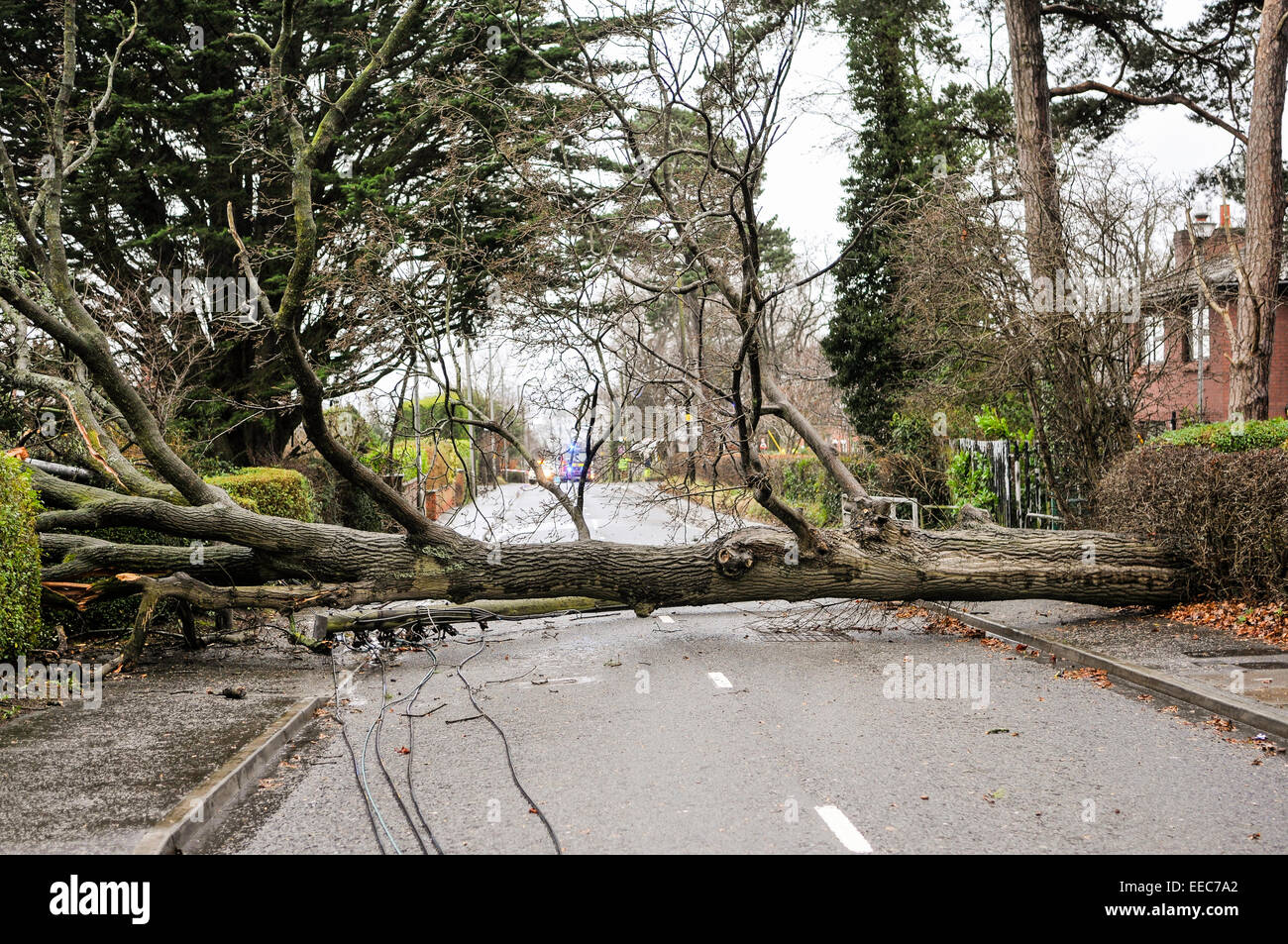 Damage power lines High Resolution Stock Photography and Images - Alamy
