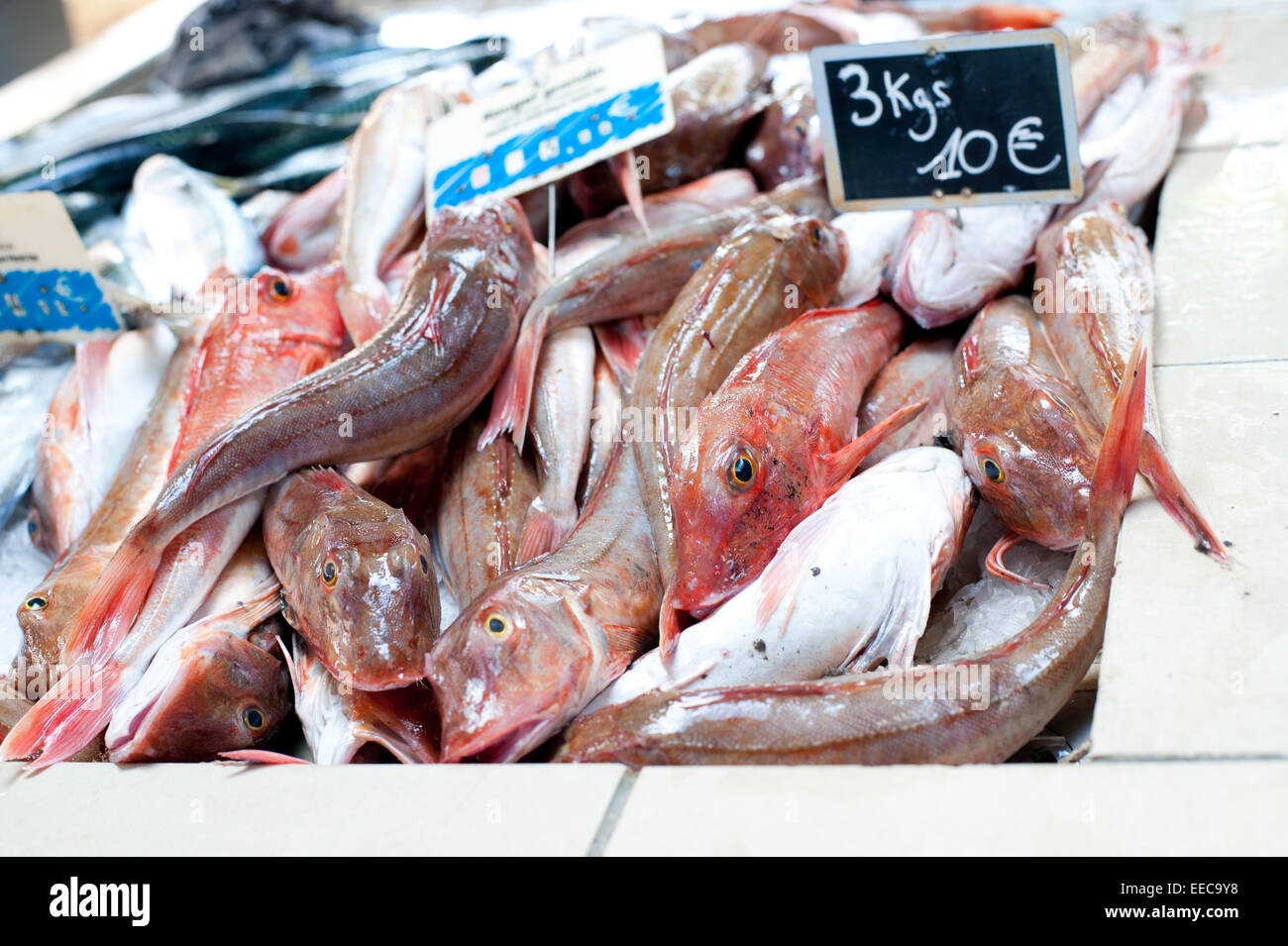 The country shop hi-res stock photography and images - Alamy