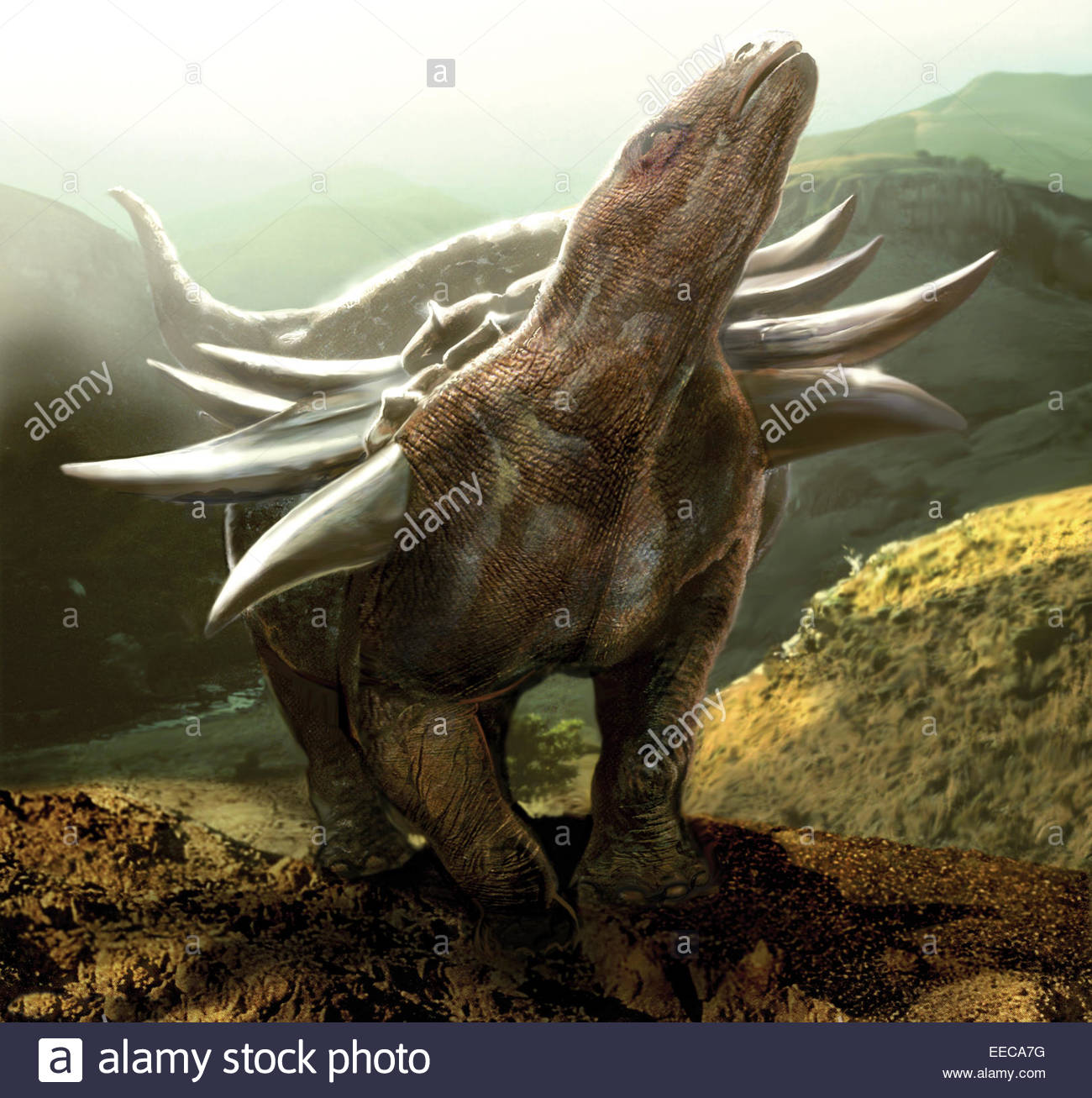 Ankylosaur Dinosaur Stock Photos & Ankylosaur Dinosaur Stock Images - Alamy