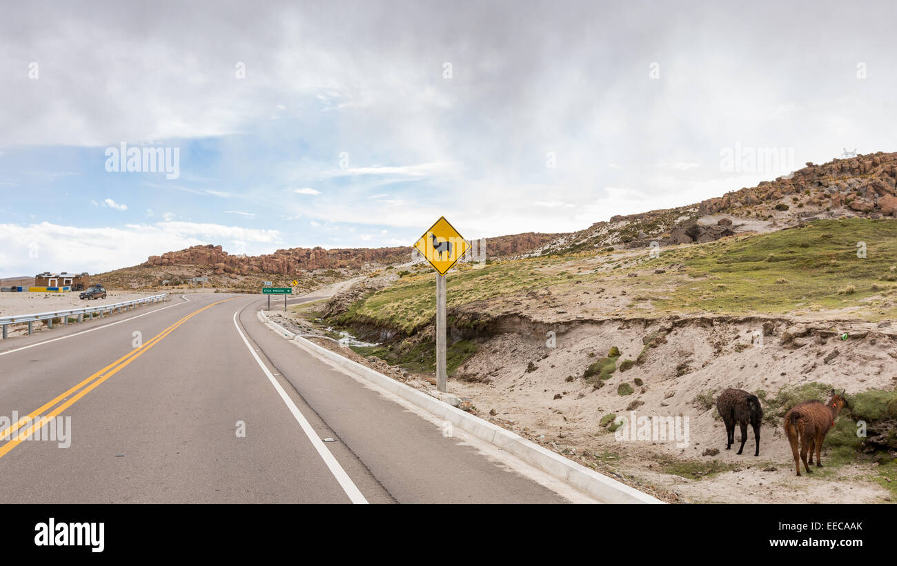Llama warning sign hi-res stock photography and images - Alamy