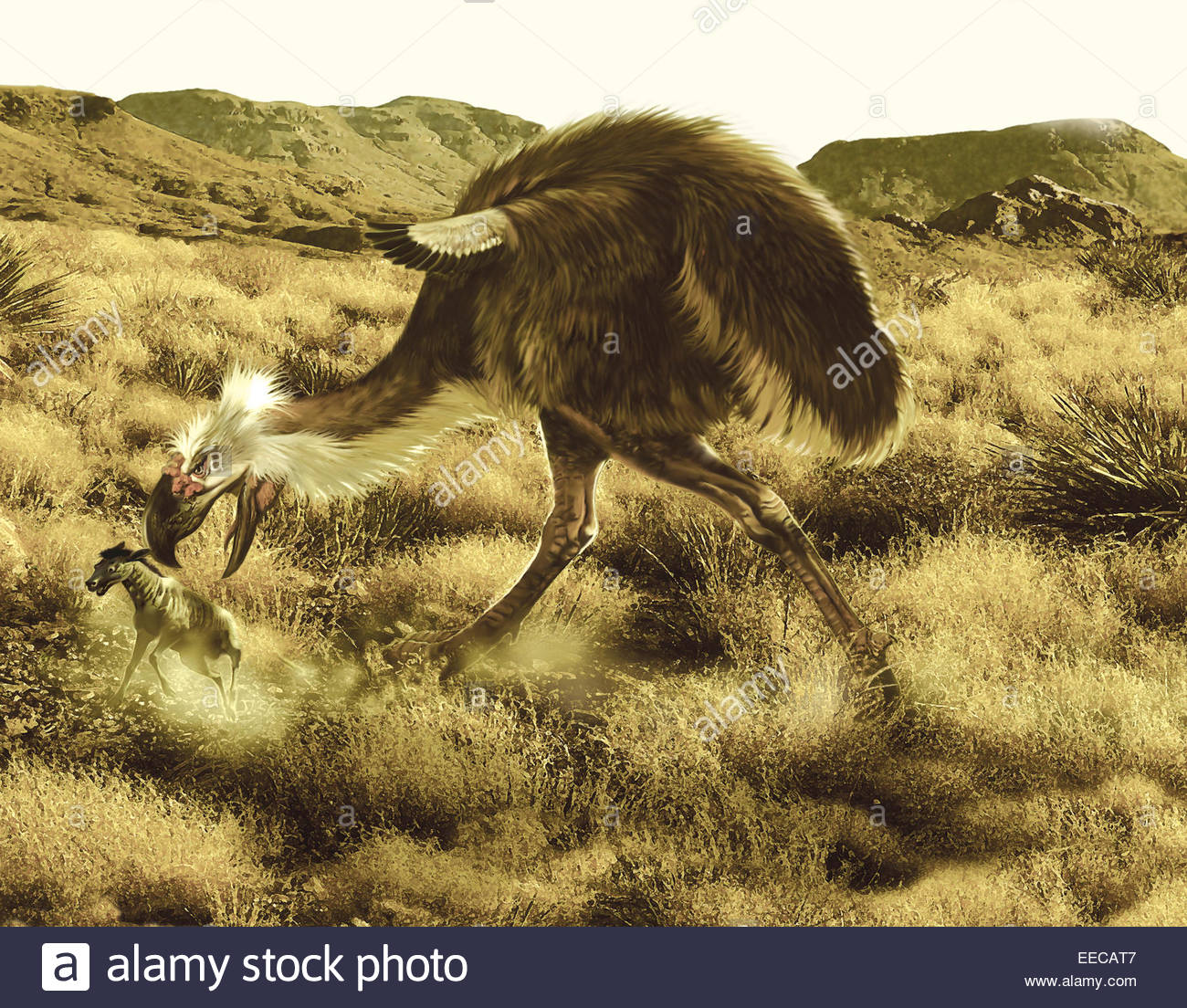 Phorusrhacidae Stock Photos & Phorusrhacidae Stock Images - Alamy