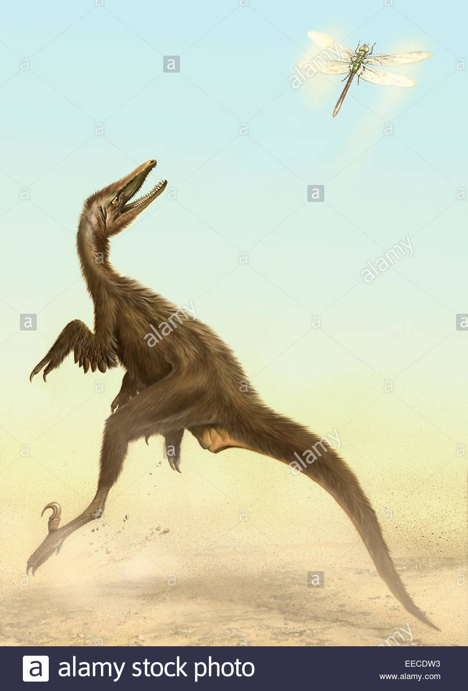 Prehistoric Flying Animals Stock Photos & Prehistoric Flying Animals ...
