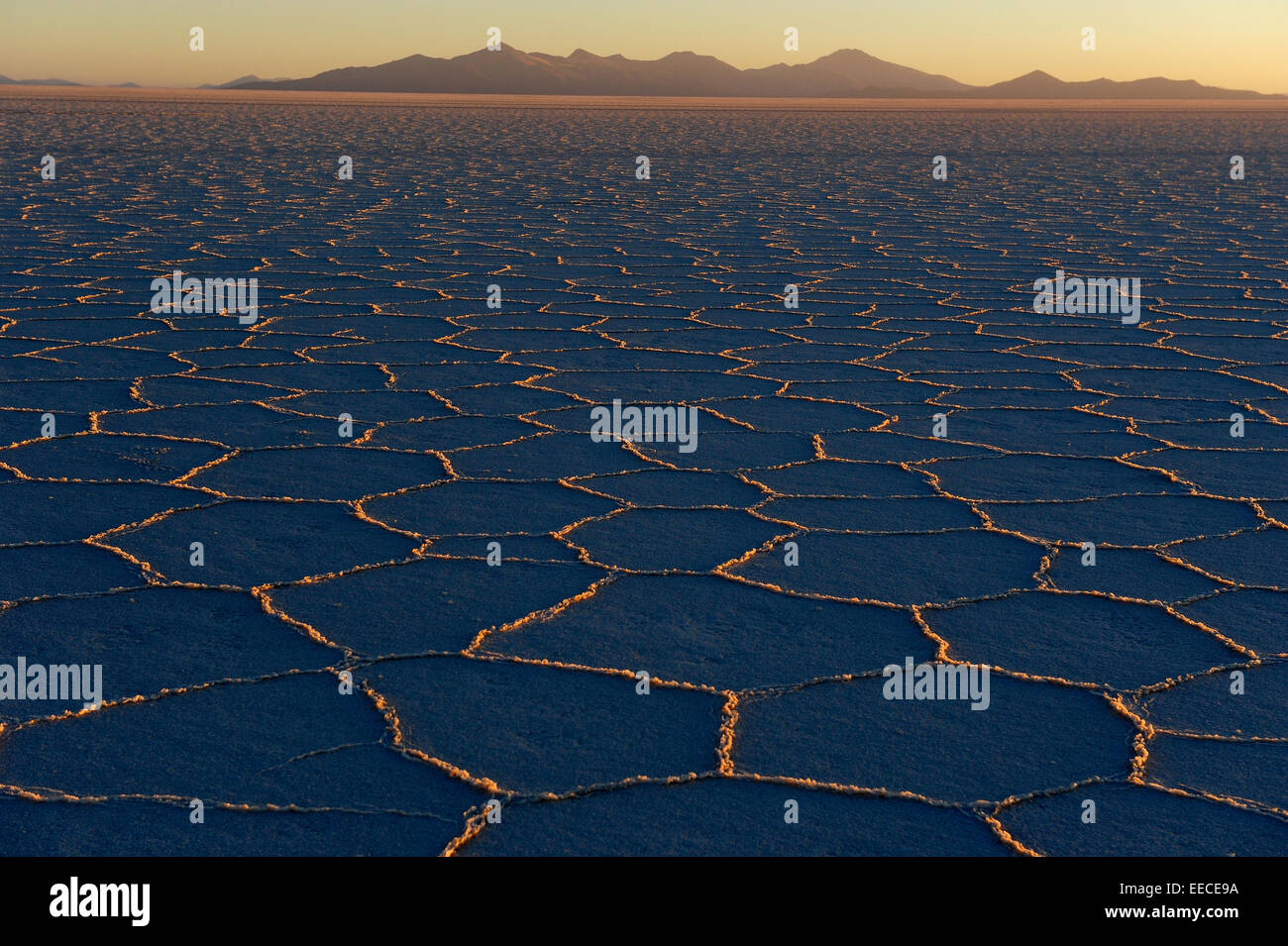 Hexagonal patterns in the salt stretch to the horizon across the world ...