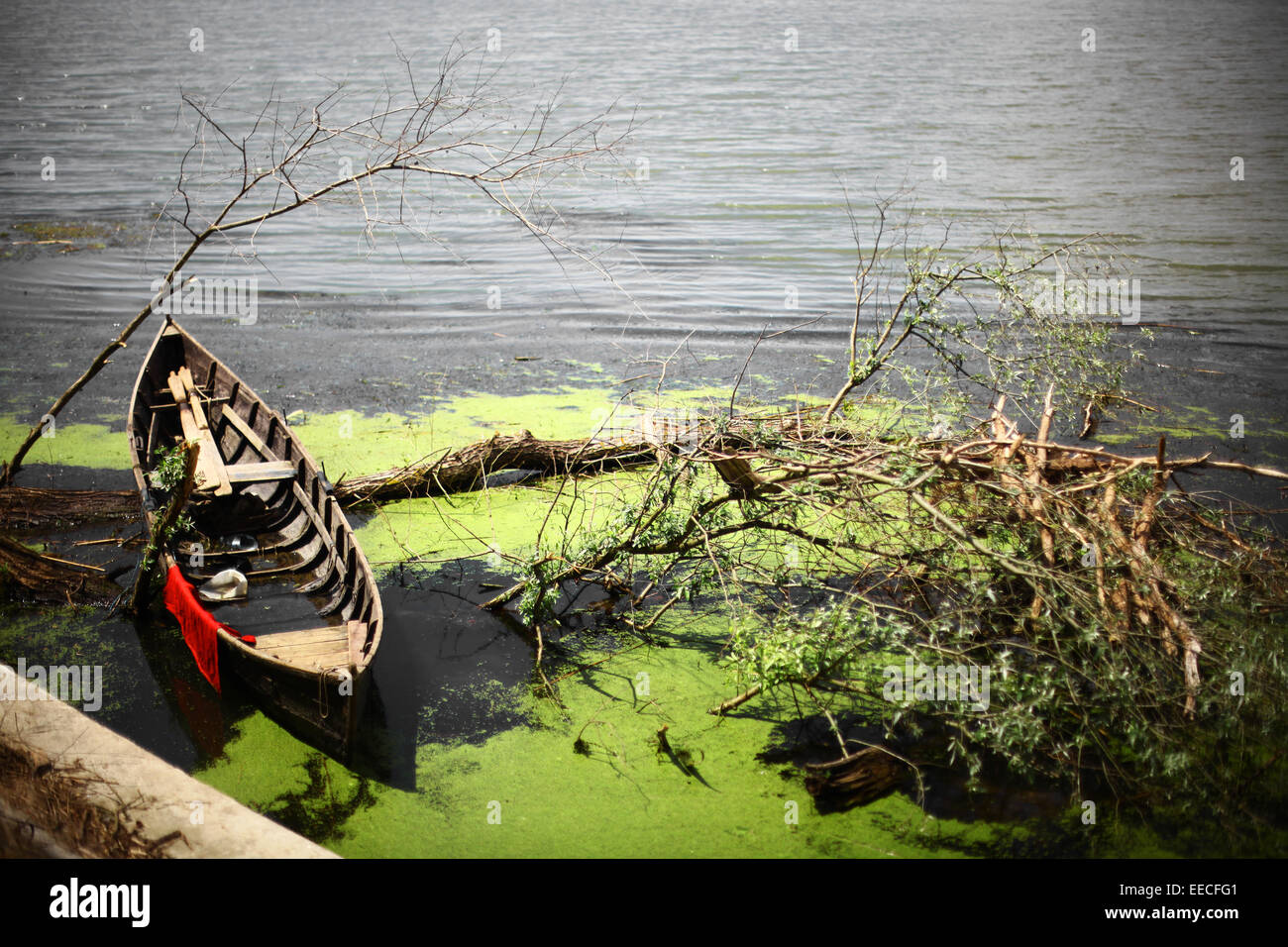 Color picture of a boat on a river bank Stock Photo - Alamy