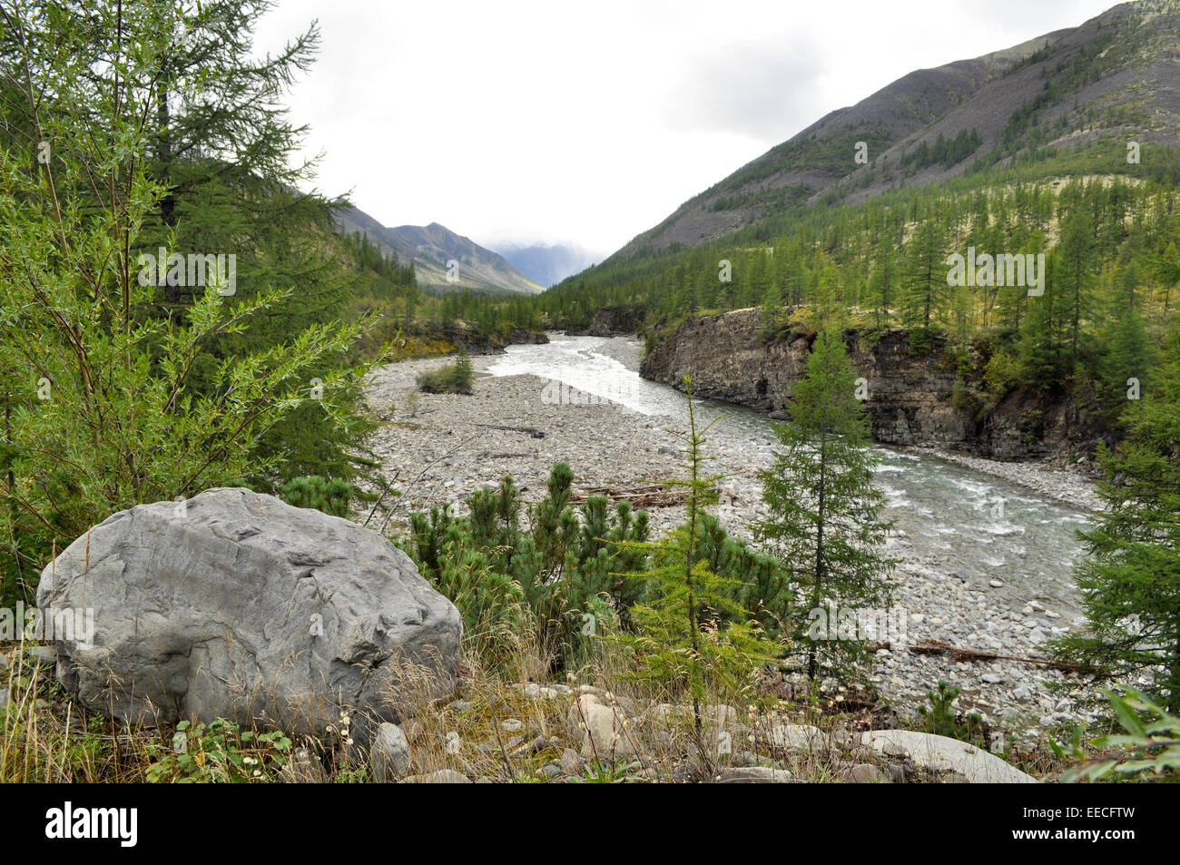 The river in mountains of Yakutia. Cloudy landscape on a route Yakutsk ...