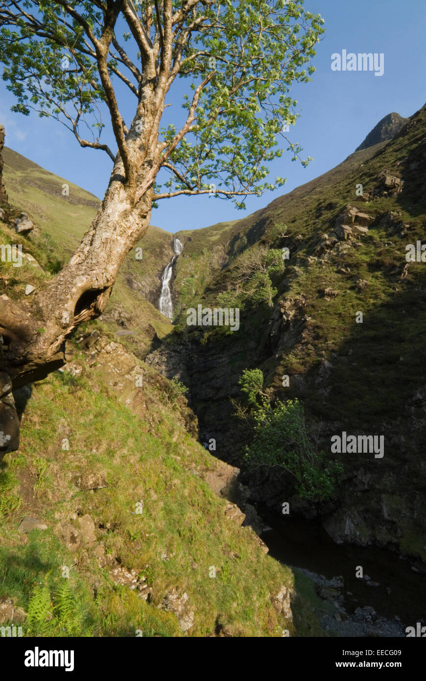 Grey Mare's Tail Waterfall near Moffat, Dumfries & Galloway, Scotland ...
