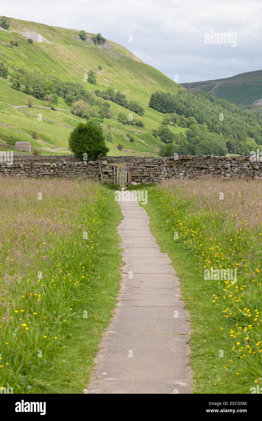The Pennine Way near Muker, Yorkshire Dales National Park, North ...