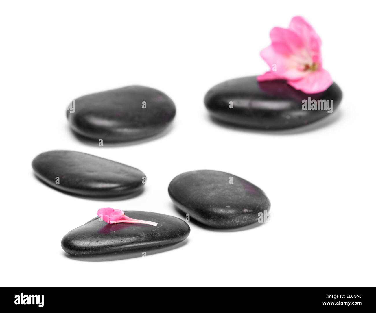 Spa stones on white background Stock Photo - Alamy