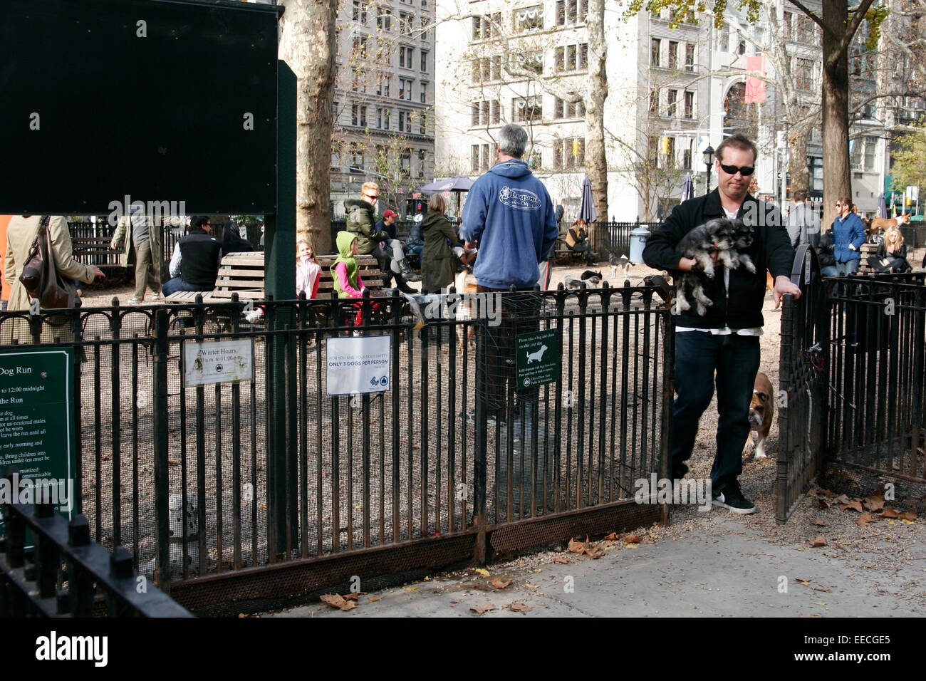 Dog walking area in Manhattan, New York City, USA Stock Photo - Alamy