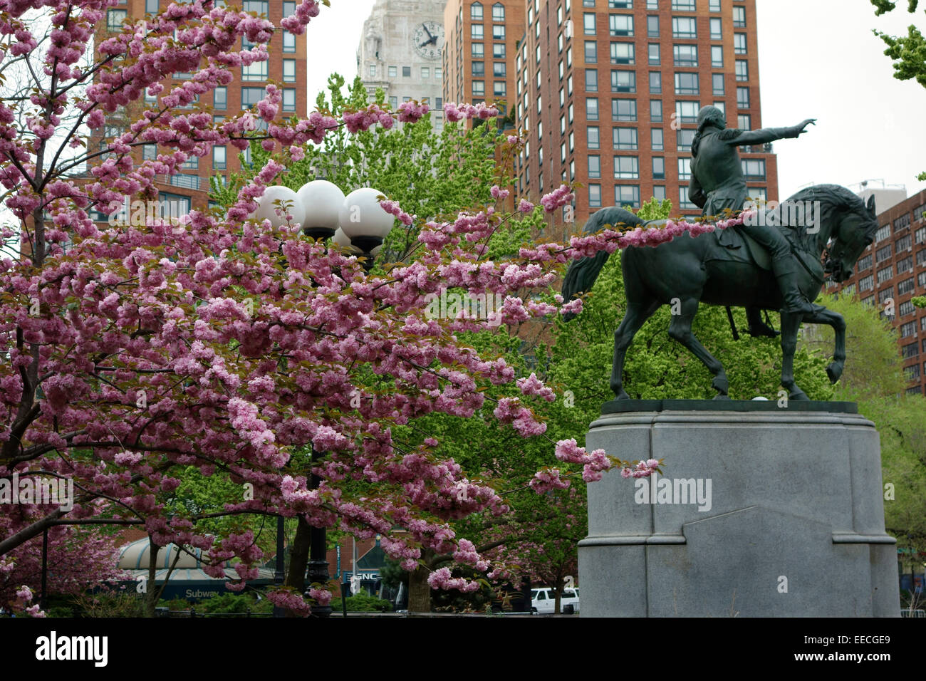 Cherry blossom in New York City Stock Photo - Alamy