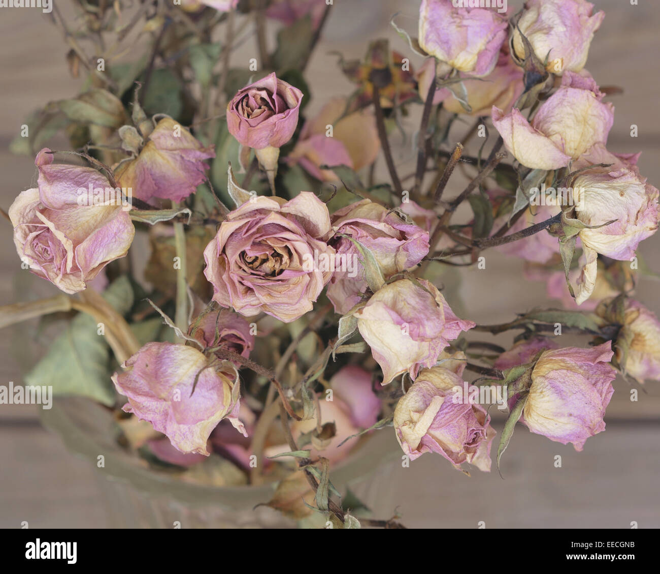 Bouquet of Dried Roses Stock Photo - Alamy