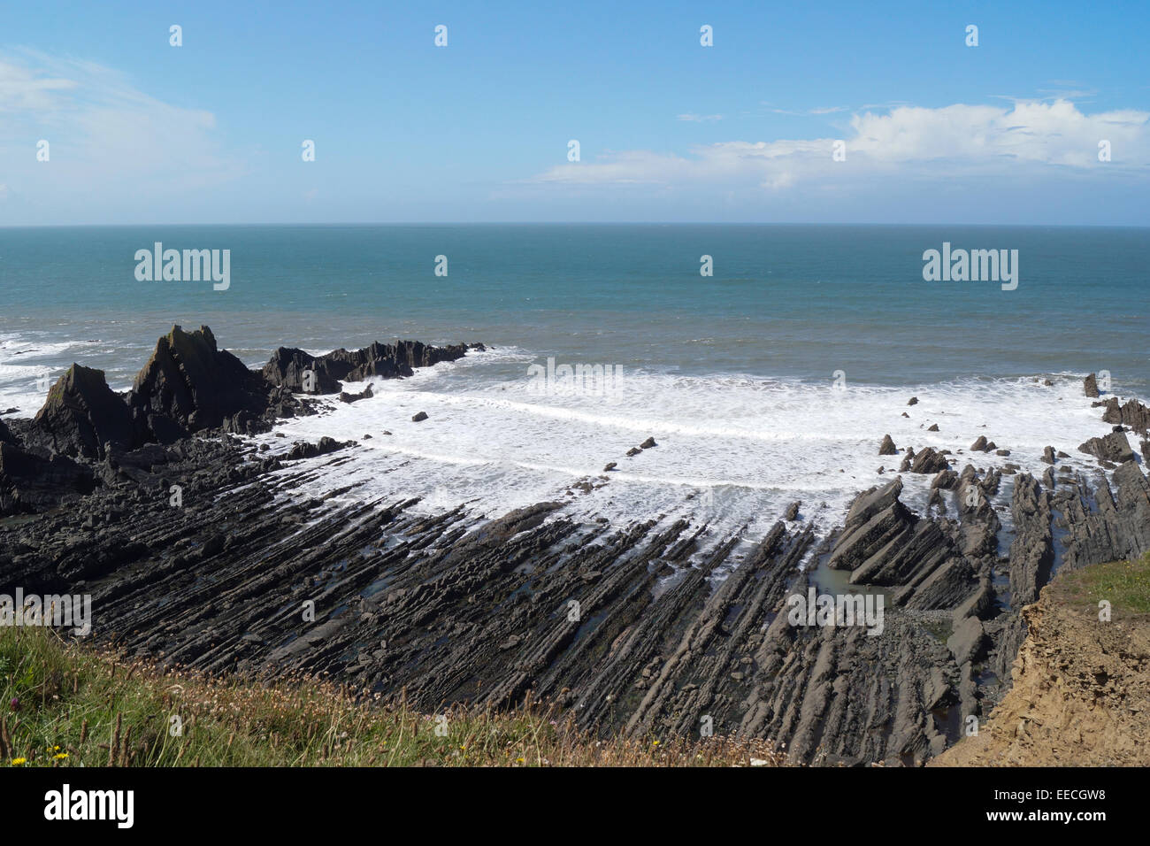 Wave cut platform on North Devon coast UK Stock Photo - Alamy
