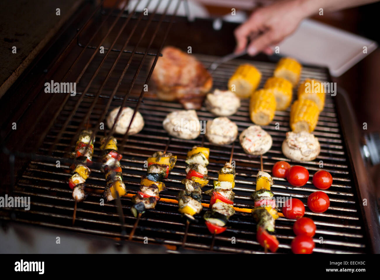 Barbeque plates hi-res stock photography and images - Alamy