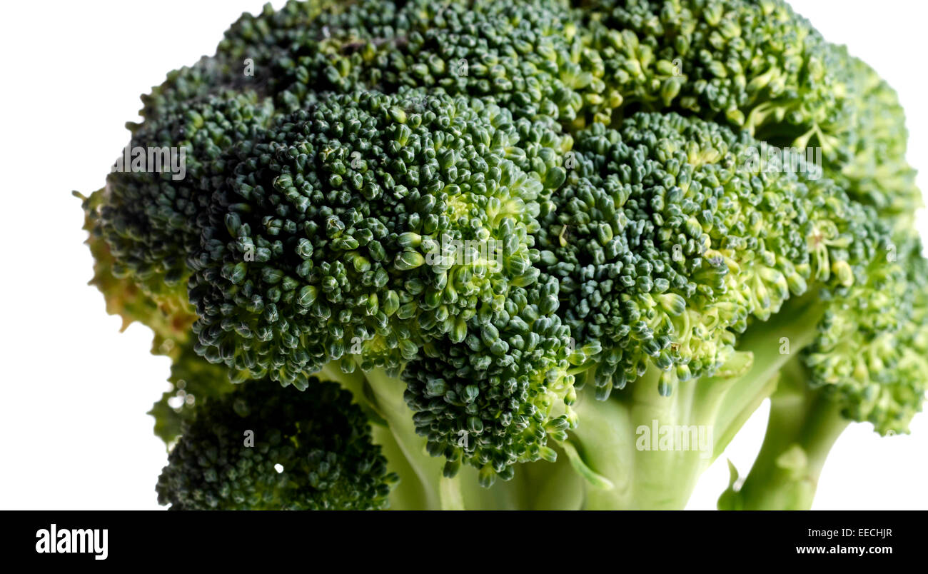 Broccoli healthy vegetable Stock Photo - Alamy