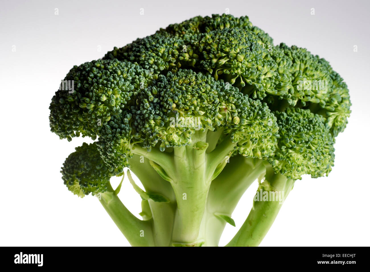 Broccoli healthy vegetable Stock Photo - Alamy