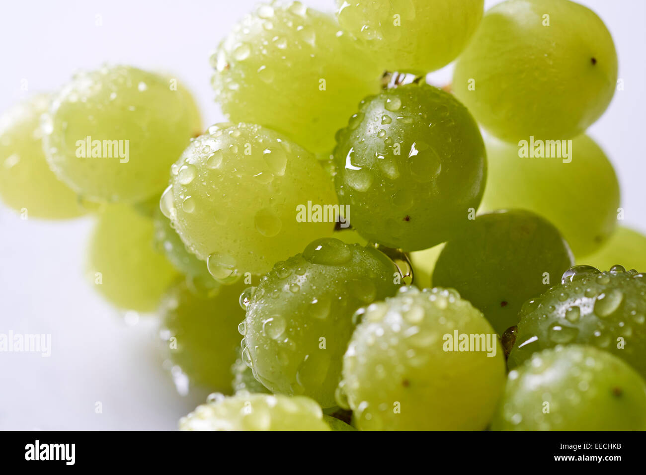 Grapes with drops of water Stock Photo - Alamy