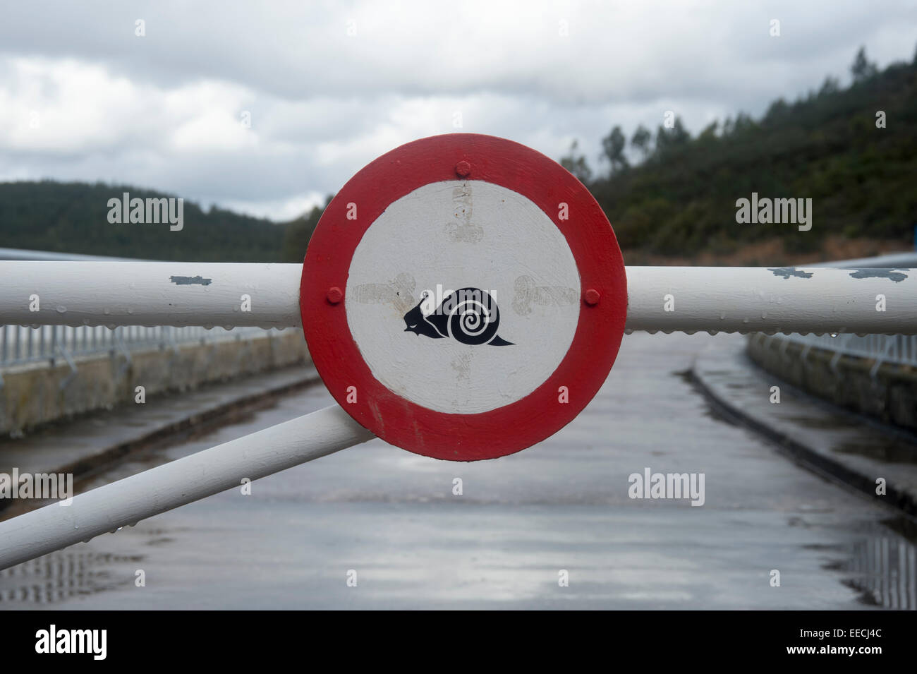 snail crossing road sign Stock Photo - Alamy