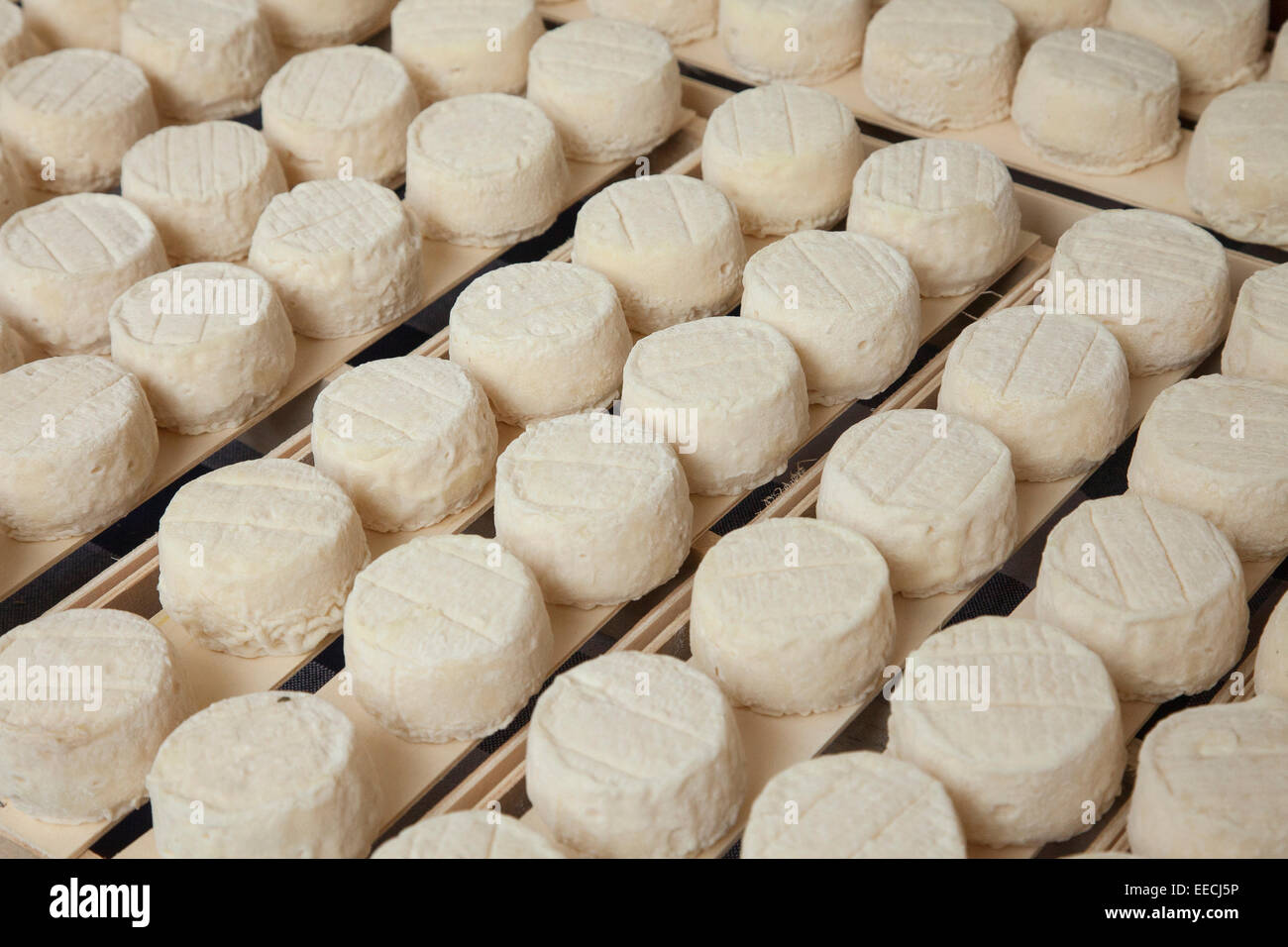 Cheese wheels at a Paris market Stock Photo - Alamy