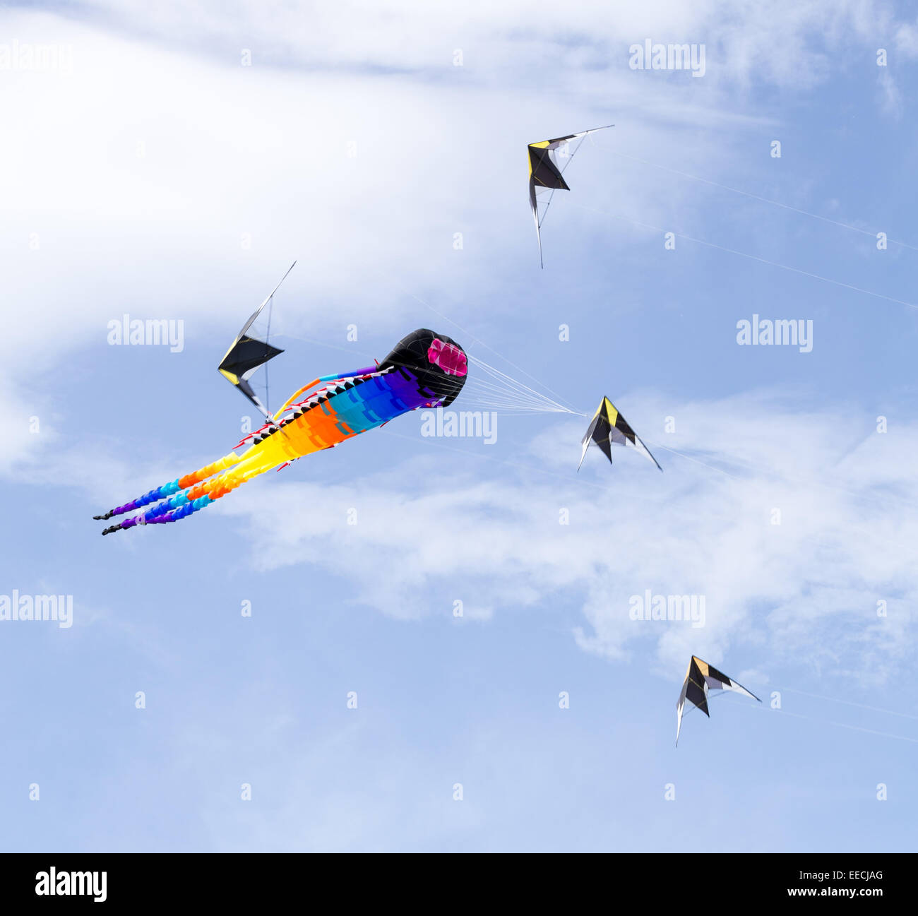 Funny kites hi-res stock photography and images - Alamy