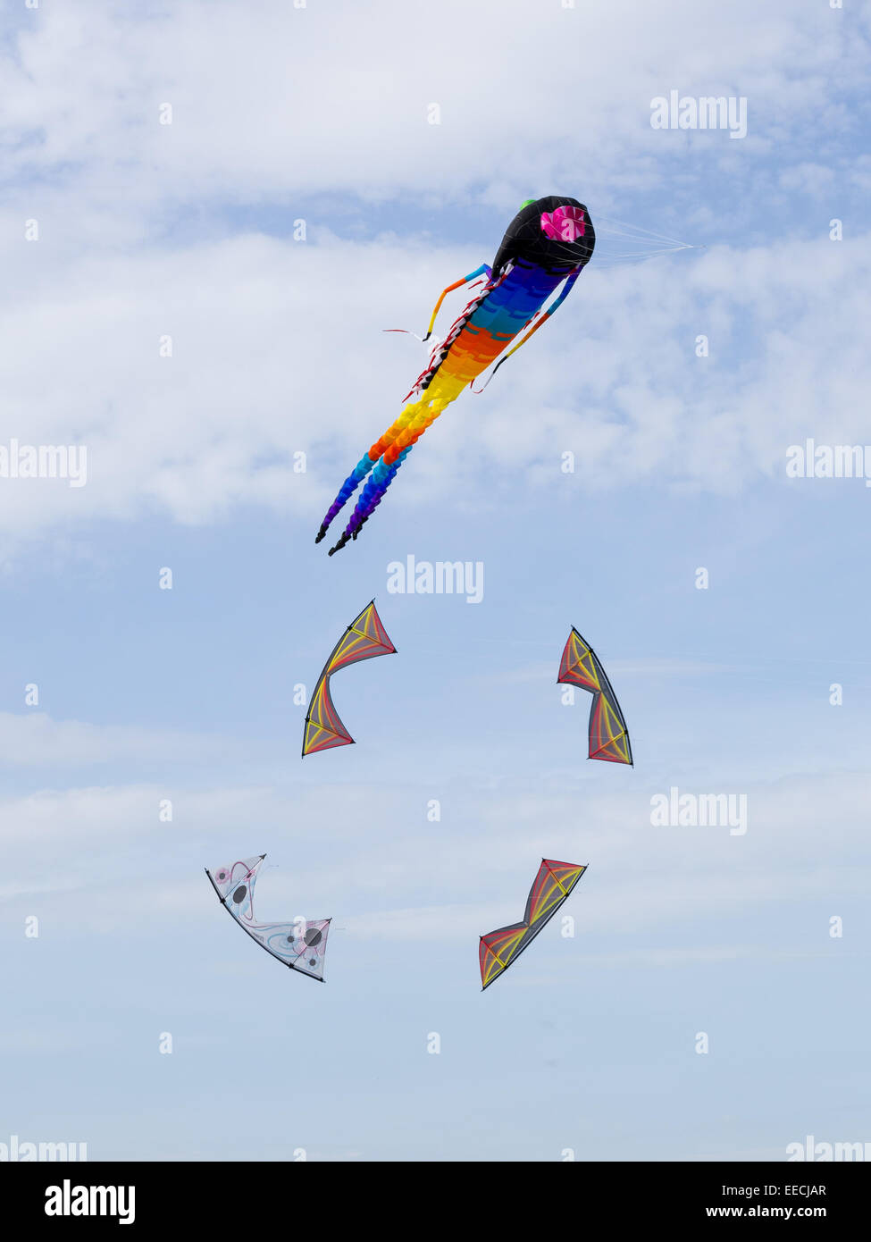 Great octopus-like kite in the group of small kites Stock Photo - Alamy