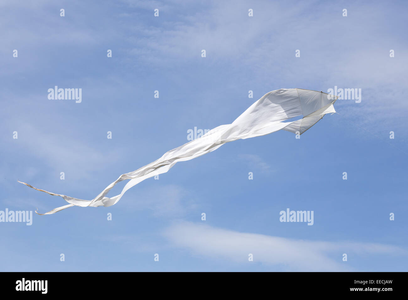 Great white kite in the blue sky Stock Photo - Alamy