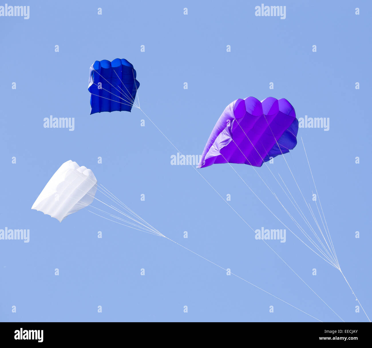 Group of kites hi-res stock photography and images - Alamy