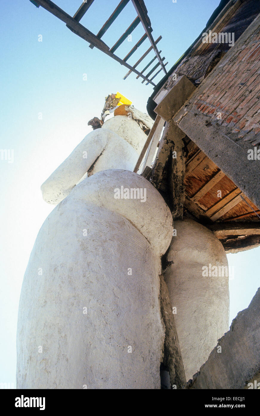 La mona tijuana hi-res stock photography and images - Alamy