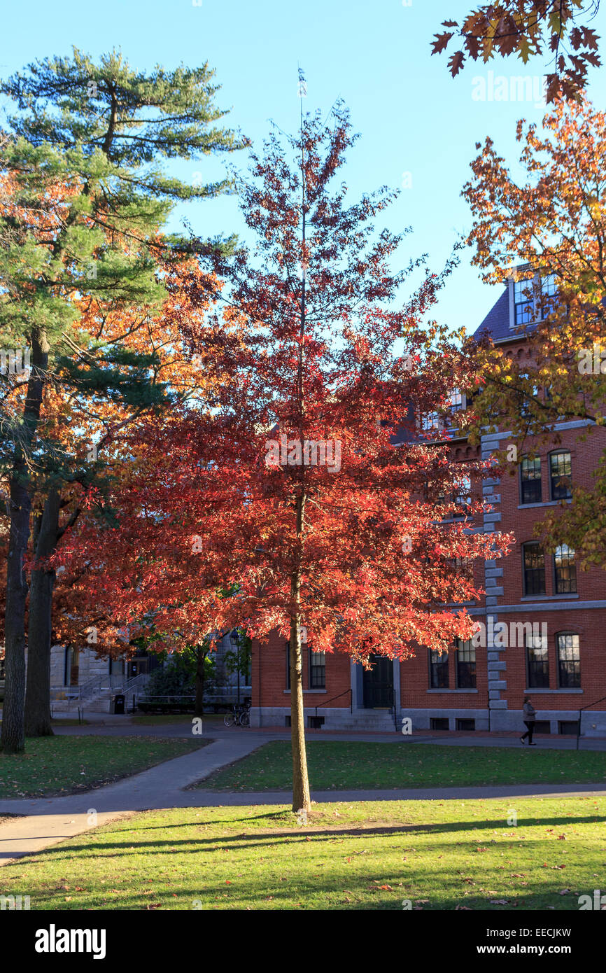 Campus landmarks hi-res stock photography and images - Alamy